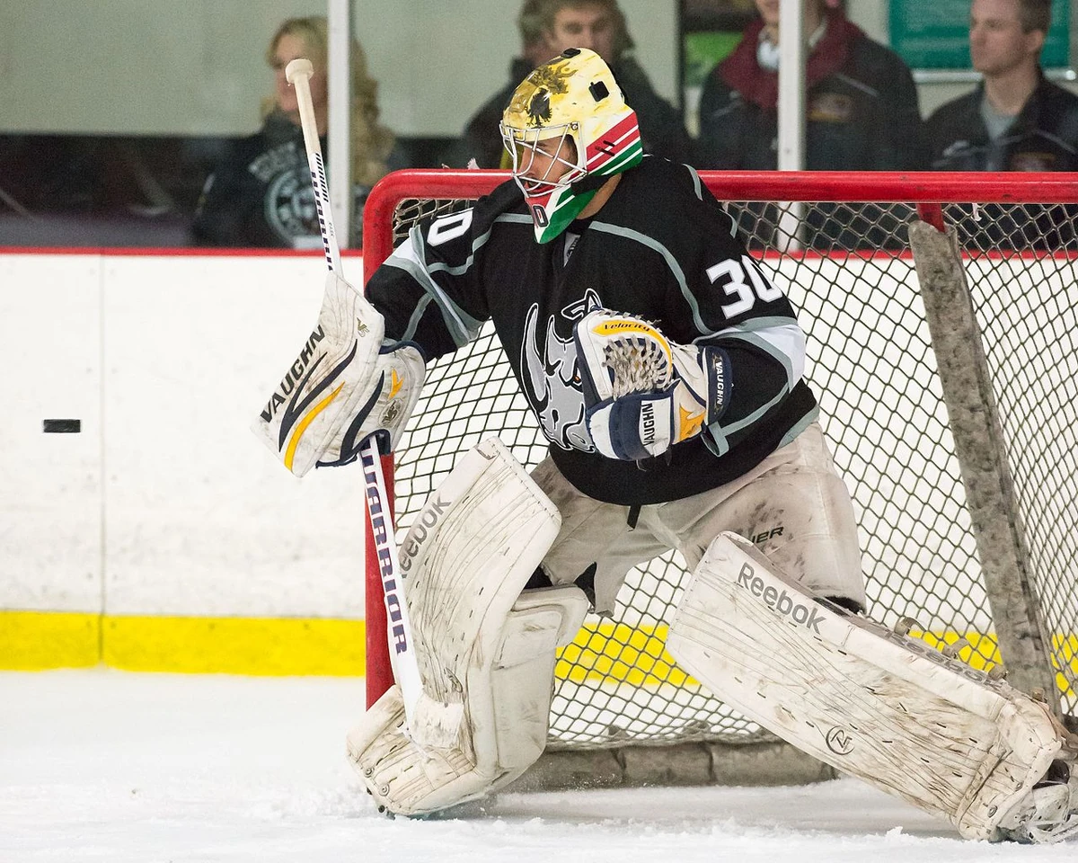 Ádám Vay | Ice Hockey Wiki | Fandom