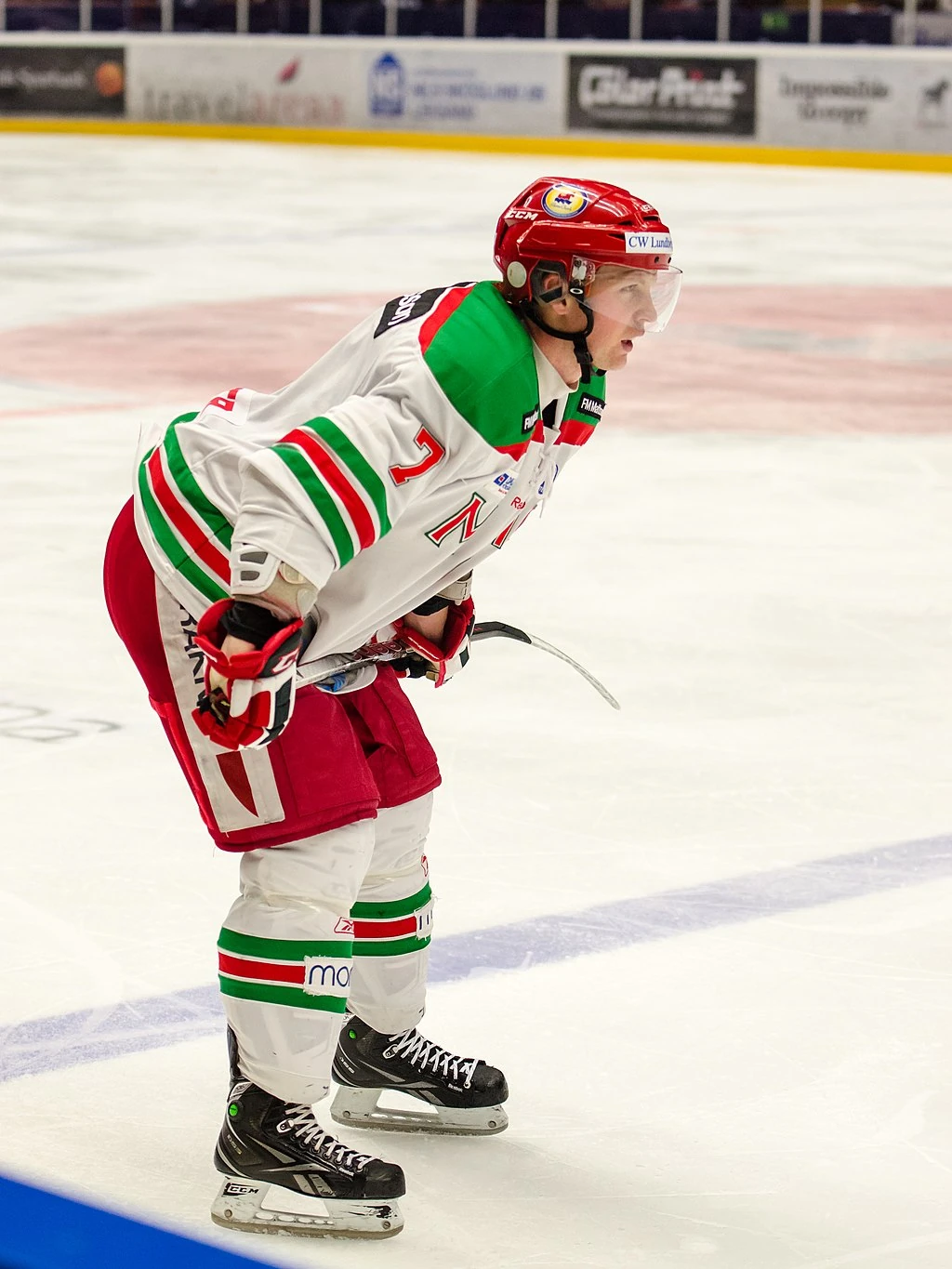 Peter Nolander | Ice Hockey Wiki | Fandom