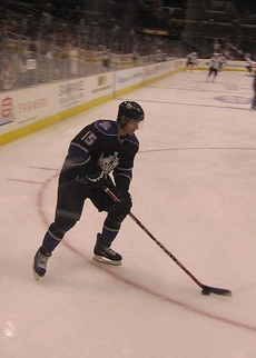 Brad Richardson | Ice Hockey Wiki | Fandom