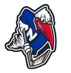 Newmarket Hurricanes (2025) | Ice Hockey Wiki | Fandom