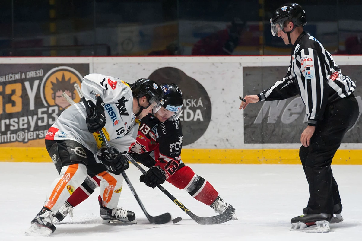 Dustin Sylvester | Ice Hockey Wiki | Fandom