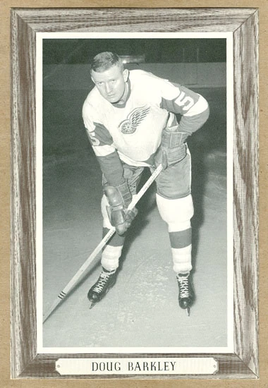 Doug Barkley | Ice Hockey Wiki | Fandom