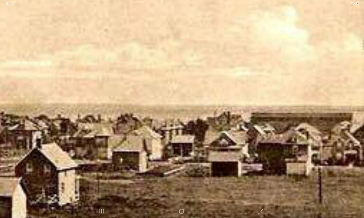 Palace Skating Rink | Ice Hockey Wiki | Fandom