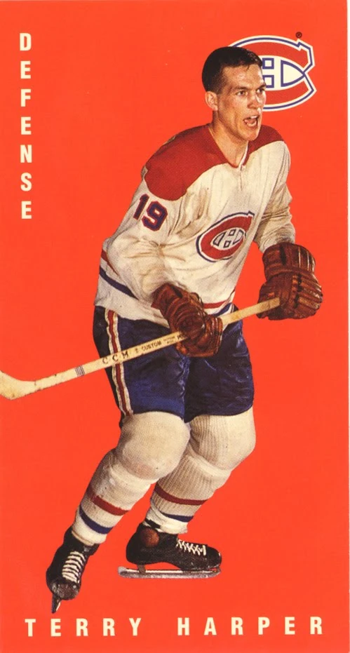 Terry Harper | Ice Hockey Wiki | Fandom