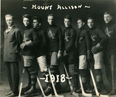 Mount Allison Mounties | Ice Hockey Wiki | Fandom