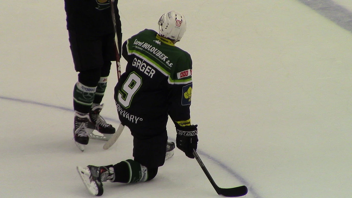 Dávid Gríger | Ice Hockey Wiki | Fandom