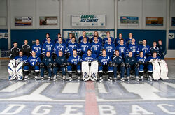 2010-11 OUA Season | Ice Hockey Wiki | Fandom