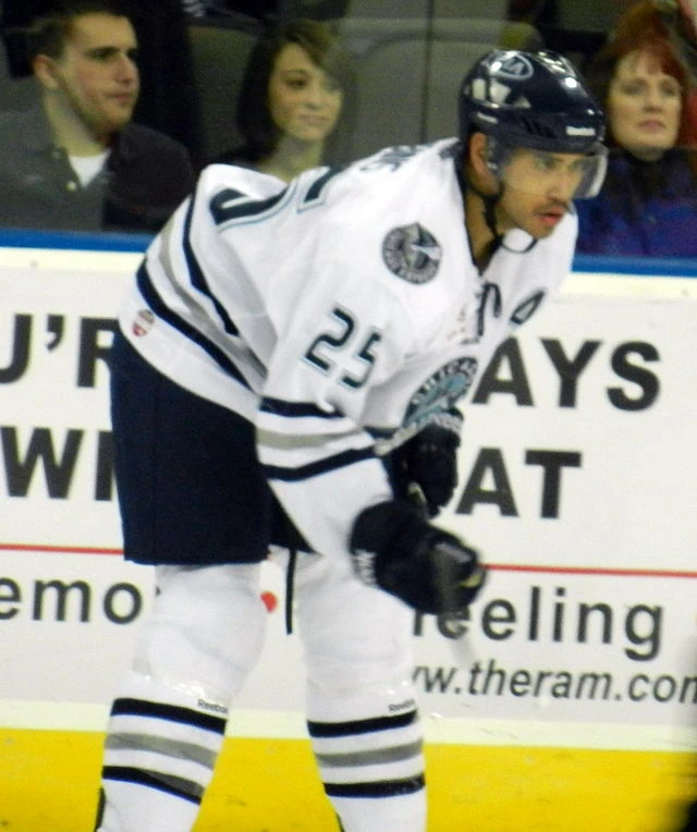 Bobby Robins | Ice Hockey Wiki | Fandom