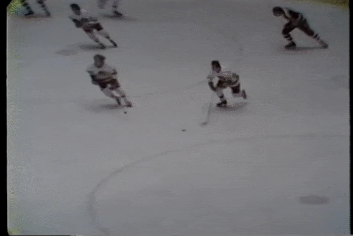 Skip Krake | Ice Hockey Wiki | Fandom