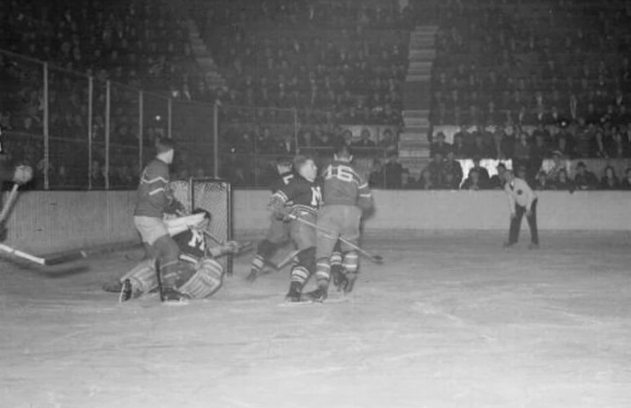 Tony Demers | Ice Hockey Wiki | Fandom