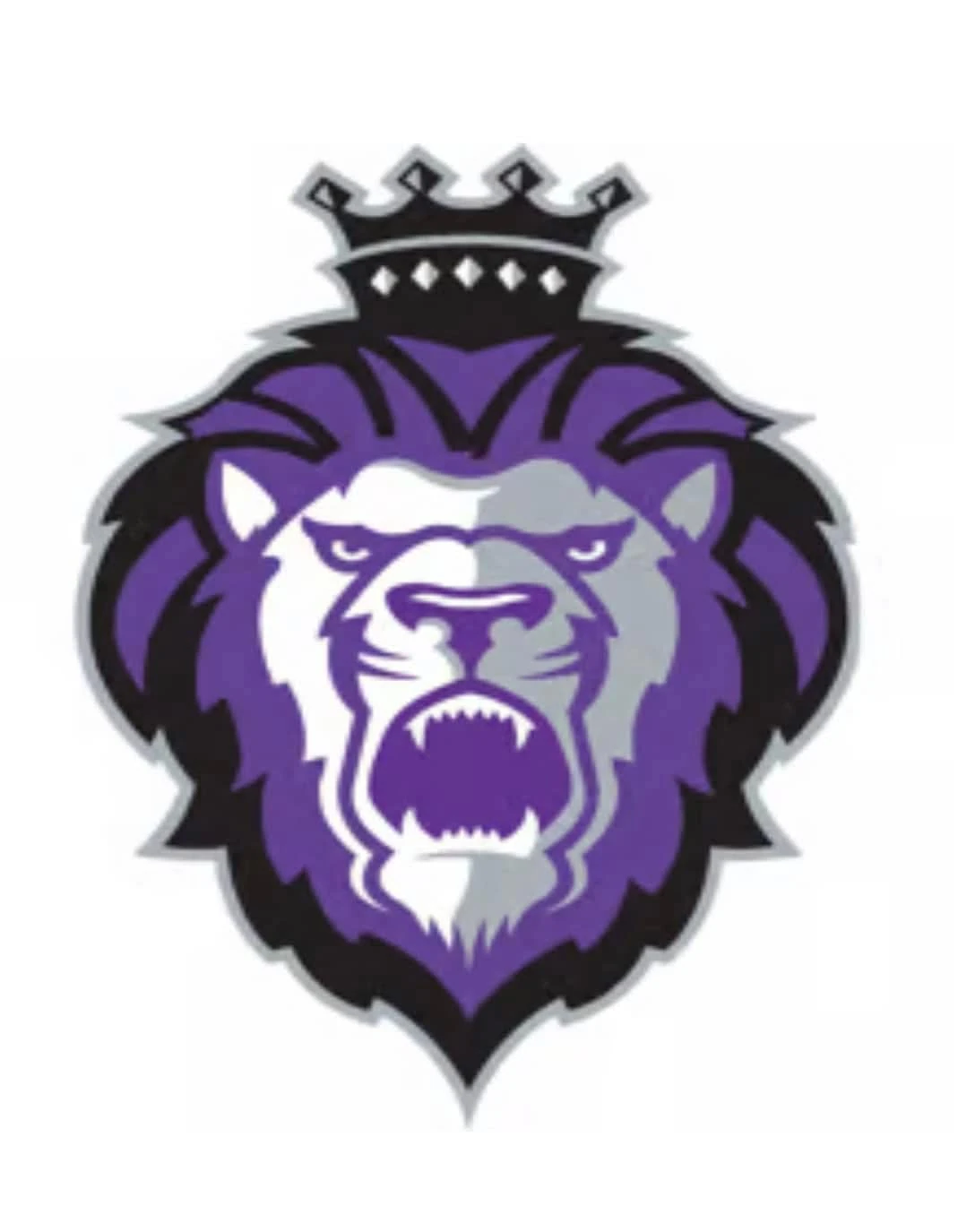 Morell Lions | Ice Hockey Wiki | Fandom