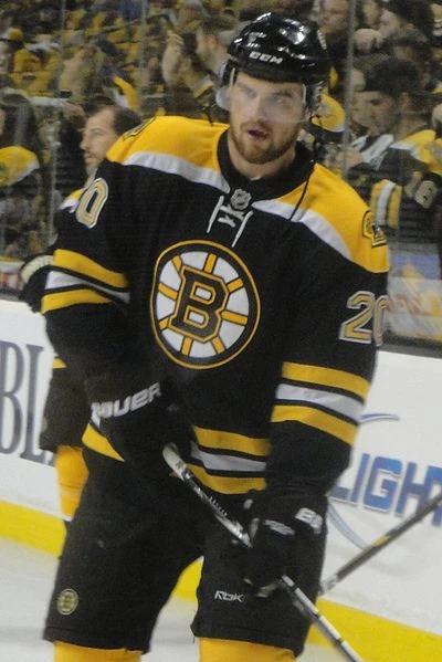 Daniel Paille | Ice Hockey Wiki | Fandom