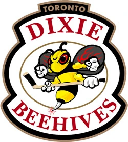 Dixie Beehives (2005–2011) | Ice Hockey Wiki | Fandom