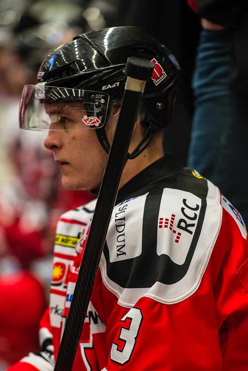 Bobbo Petersson | Ice Hockey Wiki | Fandom