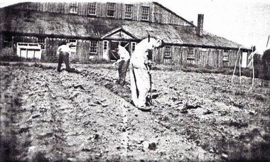 Berwick Arena (Original) | Ice Hockey Wiki | Fandom