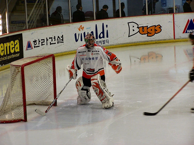 Nikko Ice Bucks | Ice Hockey Wiki | Fandom