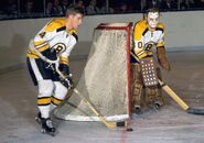 Gerry Cheevers | Ice Hockey Wiki | Fandom