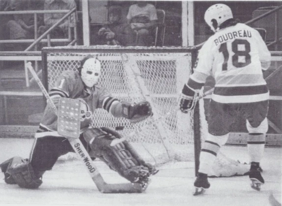 Bruce Boudreau | Ice Hockey Wiki | Fandom