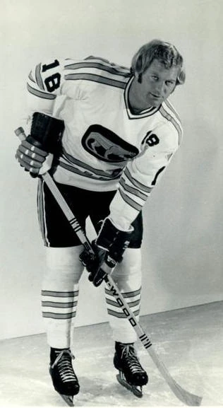 Ron Anderson (b. 1948) | Ice Hockey Wiki | Fandom