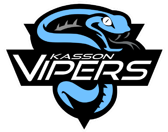 Rochester Vipers | Ice Hockey Wiki | Fandom