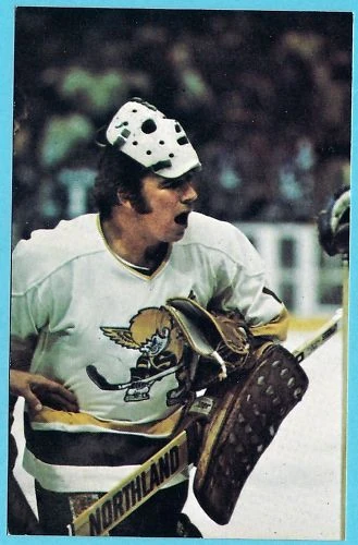 Mike Curran | Ice Hockey Wiki | Fandom