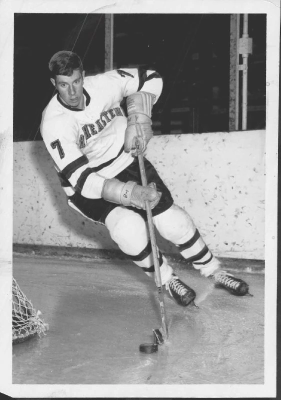 David Poile | Ice Hockey Wiki | Fandom