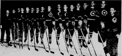 Quebec Aces Team Photos | Ice Hockey Wiki | Fandom