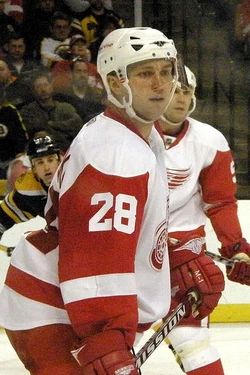 Brian Rafalski | Ice Hockey Wiki | Fandom