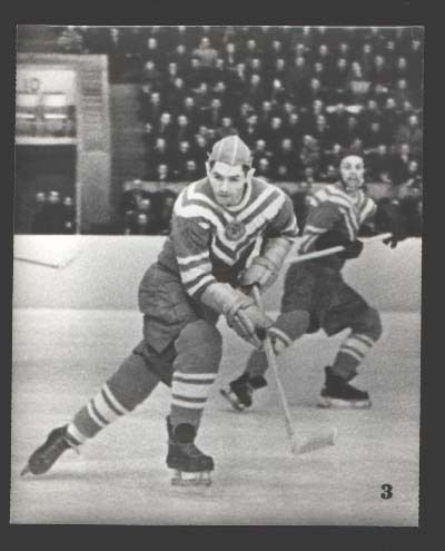 Ivan Tregubov | Ice Hockey Wiki | Fandom