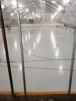 Bruno Arena | Ice Hockey Wiki | Fandom