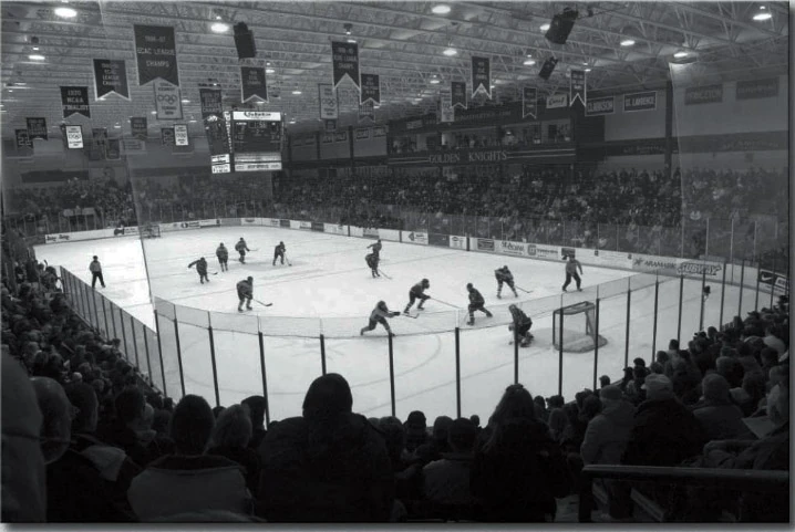 Cheel Arena | Ice Hockey Wiki | Fandom