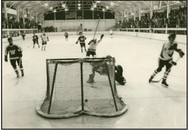 Russell Sage Rink | Ice Hockey Wiki | Fandom
