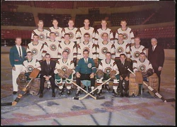 1964–65 AHL season | Ice Hockey Wiki | Fandom