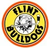 Flint Bulldogs | Ice Hockey Wiki | Fandom
