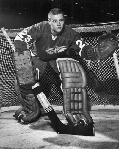 Don Caley | Ice Hockey Wiki | Fandom