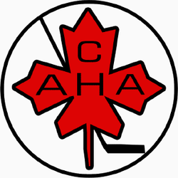 Canadian Amateur Hockey Association | Ice Hockey Wiki | Fandom