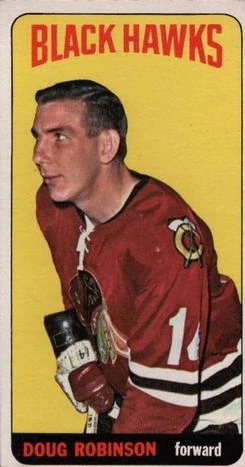 Doug Robinson | Ice Hockey Wiki | Fandom