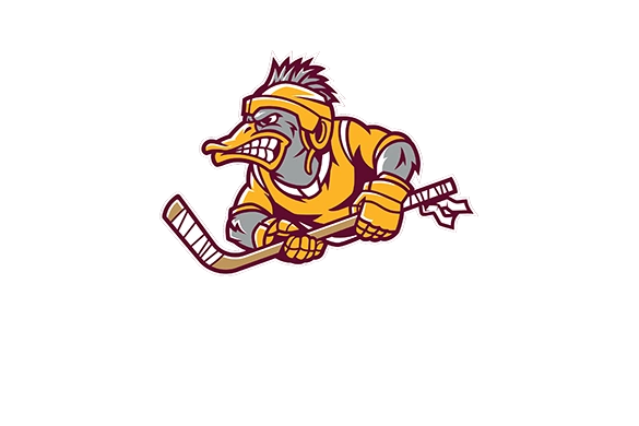 Minnesota Mallards | Ice Hockey Wiki | Fandom