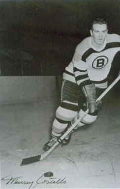 Murray Costello | Ice Hockey Wiki | Fandom