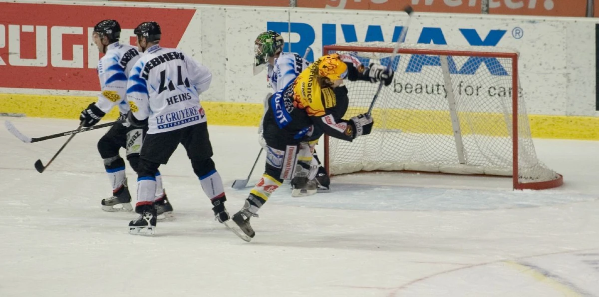 SC Bern | Ice Hockey Wiki | Fandom
