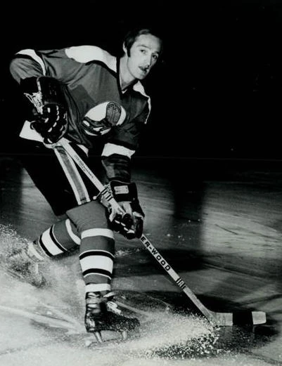 Don Borgeson | Ice Hockey Wiki | Fandom