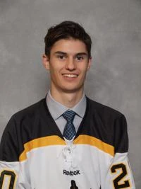 Hunter Goodon | Ice Hockey Wiki | Fandom