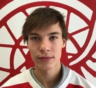 Sven Schefer | Ice Hockey Wiki | Fandom