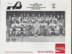 Michigan Stags | Ice Hockey Wiki | Fandom