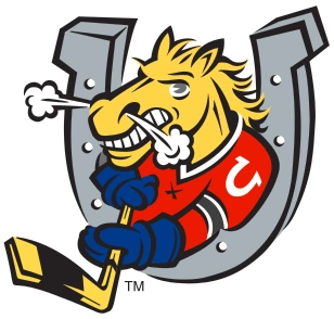 Barrie Colts | Ice Hockey Wiki | Fandom