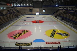 Vida Arena | Ice Hockey Wiki | Fandom