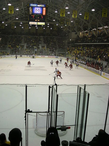 Empty net goal | Ice Hockey Wiki | Fandom