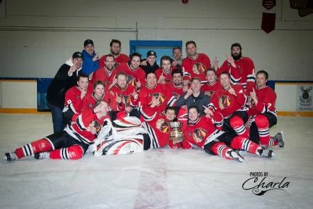 2013-14 BLHL Season | Ice Hockey Wiki | Fandom