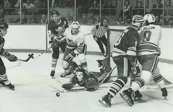 Wayne Dillon | Ice Hockey Wiki | Fandom