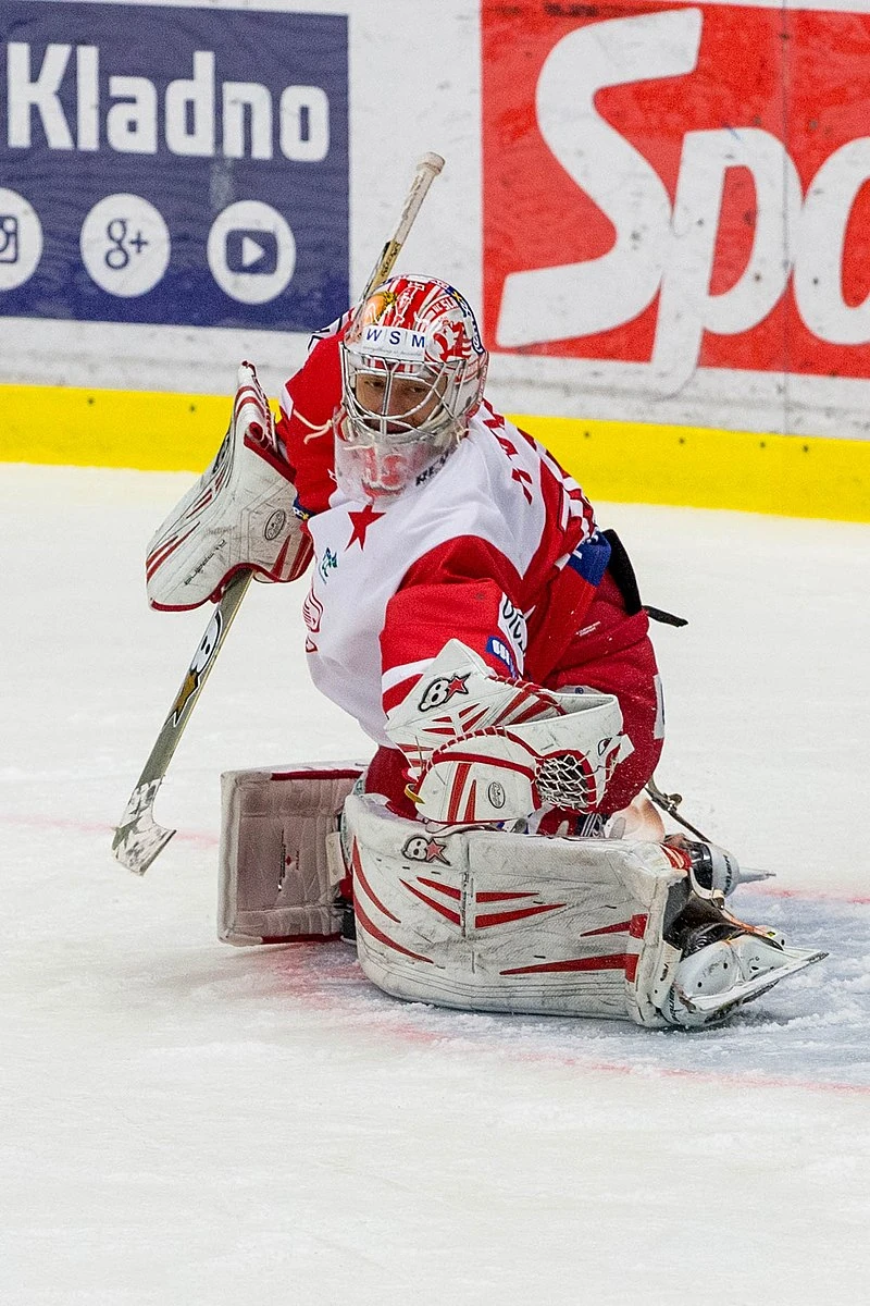 Alexandr Hylák | Ice Hockey Wiki | Fandom